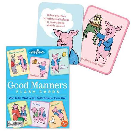 GOOD MANNERS FLASH CARDS